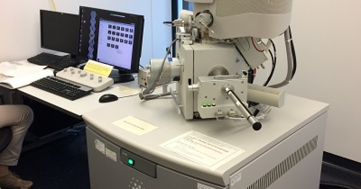 SEM Sanning Electron Microscope ENG-N7.jpg | Okinawa Institute of Science and Technology OIST